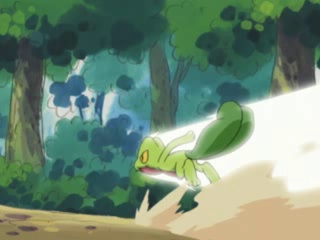 File:Ash Treecko Quick Attack.png - Bulbagarden Archives