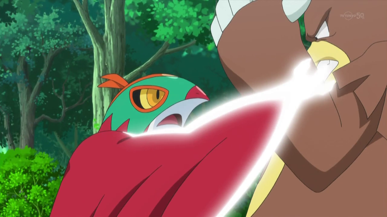 File:Ash Hawlucha Karate Chop.png - Bulbagarden Archives