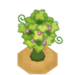 Chesto Berry - Bulbapedia, the community-driven Pokémon encyclopedia