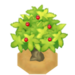 Razz Berry - Bulbapedia, the community-driven Pokémon encyclopedia
