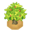 Sitrus Berry - Bulbapedia, the community-driven Pokémon encyclopedia