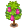 Payapa Berry - Bulbapedia, the community-driven Pokémon encyclopedia