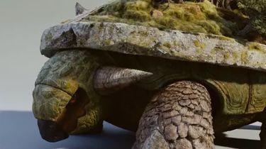Torterra (Pokémon) - Bulbapedia, the community-driven Pokémon encyclopedia