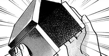 Protector - Bulbapedia, the community-driven Pokémon encyclopedia