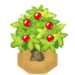 Leppa Berry - Bulbapedia, the community-driven Pokémon encyclopedia