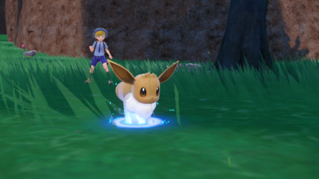 Calm Mind (move) - Bulbapedia, the community-driven Pokémon encyclopedia
